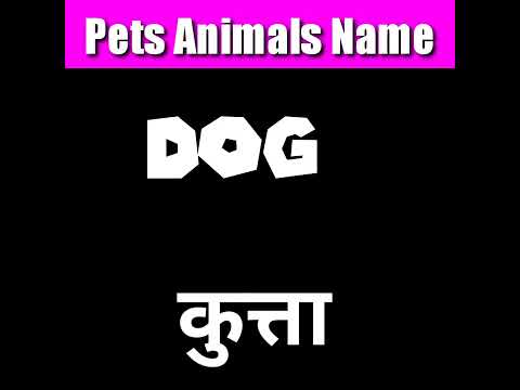 Dog meaning in hindi #shorts