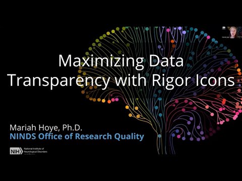 Maximizing Data Transparency Using Rigor Icons