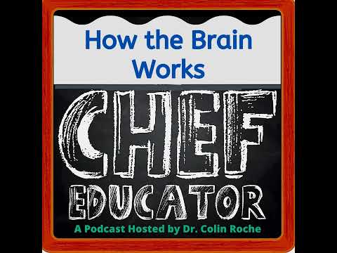How the Brain Works