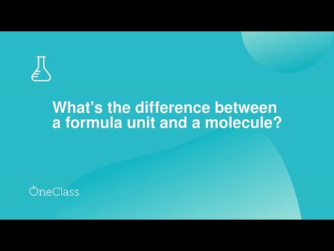 What's the difference between a formula unit and a molecule?