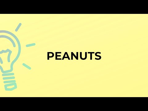 What is the meaning of the word PEANUTS?