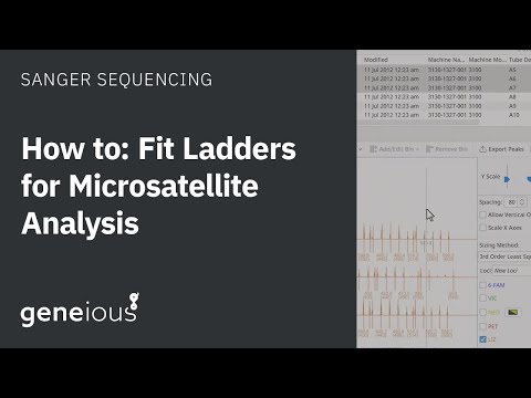 Fitting Ladders for Microsatellite Analysis in Geneious Prime
