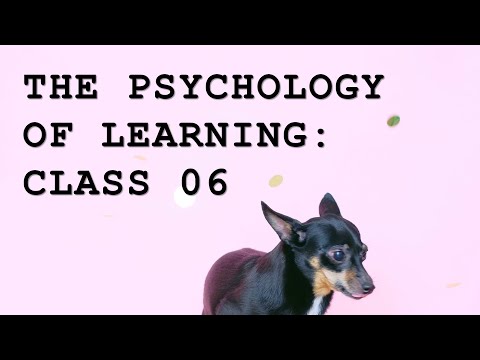 P325 - Class 06 - W03C2 - Chapter 3: Elicited Behaviors and Classical Conditioning