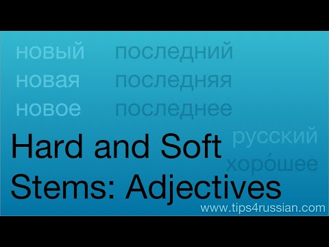 Hard and Soft Stems (II) – Adjectives