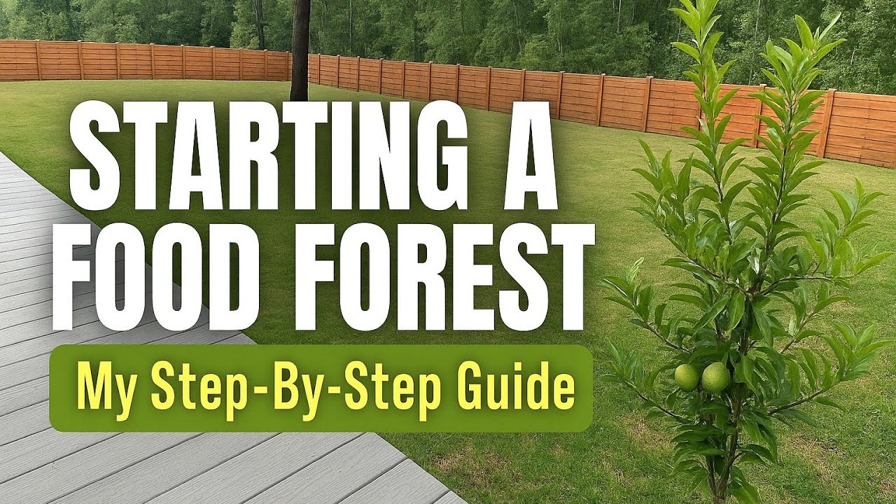 Starting a Food Forest  (Step-by-Step Beginner Guide)