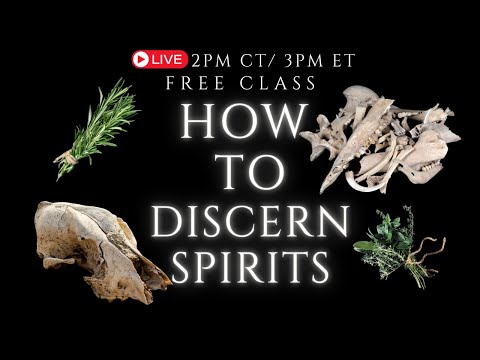 HOW TO DECERN SPIRITS| WHICH SPIRITS TO WORK WITH | FREE CLASS