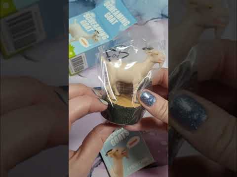Unboxing a Screaming Goat