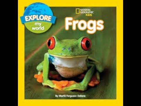 Frogs by Marfe Ferguson Delano