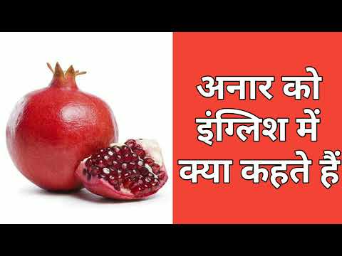 Anar in English / Anar ko english me kya kahte hai / अनार in english / Shabdkosh Dictionary
