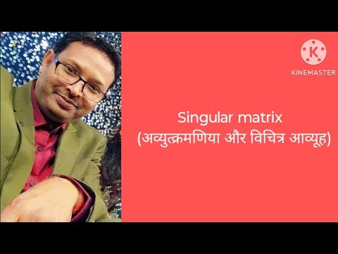 Why a Singular Matrix is a MAJOR Problem