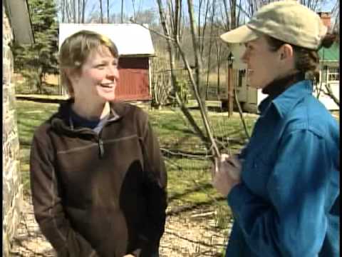 USDA Certified Organic Farm