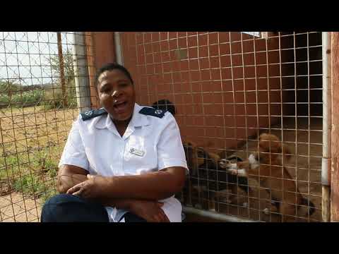 Polokwane SPCA at the Bonus Review Gin Trip Festival