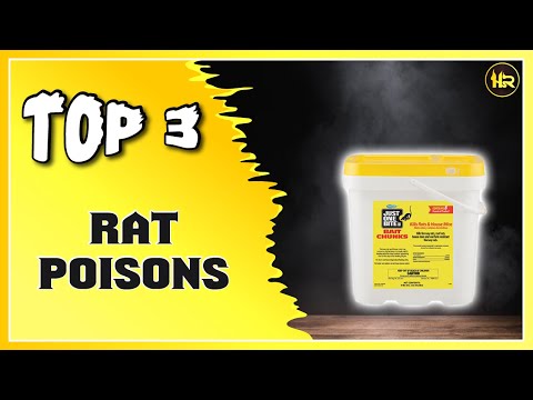 Best Rat Poisons To Buy