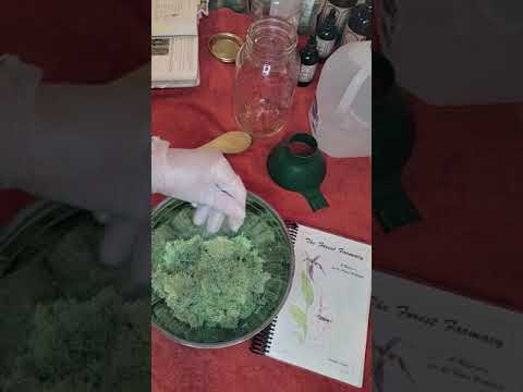 Harvesting Usnea