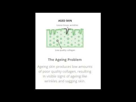 xyz collagen Reviews