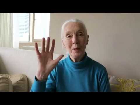 Reasons for Hope - A Talk by Jane Goodall
