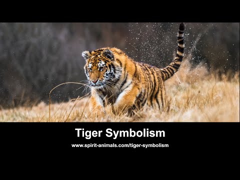 Tiger Symbolism