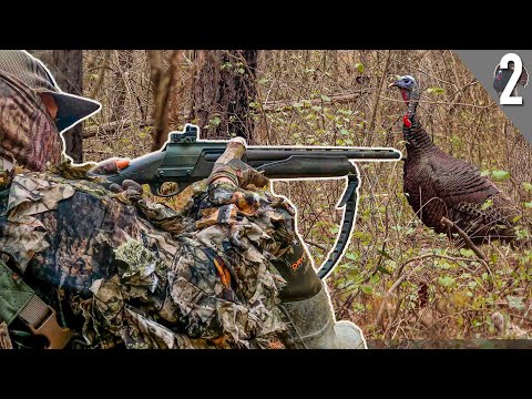 HUNTING QUIET TURKEYS! - (March 9th, 2023)