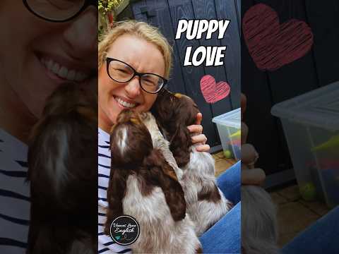 PUPPY LOVE 🐶 IDIOM #english #englishvocabulary #vocabulary #idioms #idiomsandphrases