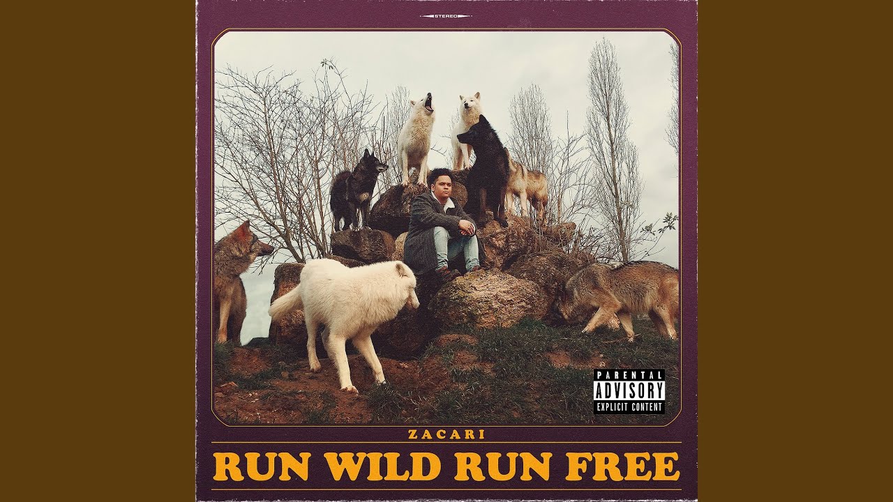 Run Wild Run Free