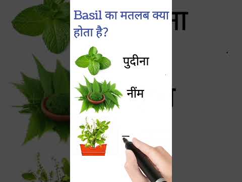 Basil का मतलब क्या होता है? #english #viral #shorts