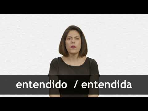 English Translation of “ENTENDIDO” | Collins Spanish-English Dictionary