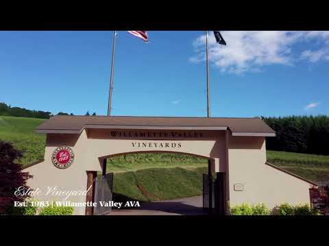 Soaring Over Willamette Valley Vineyards
