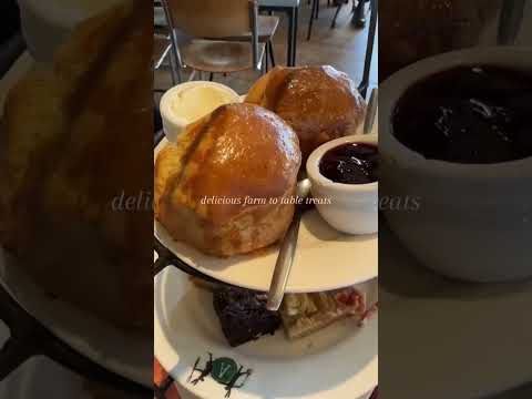 Villa Augustus High Tea in Dordrecht, Netherlands #hightea #dordrecht #netherlands #traveling