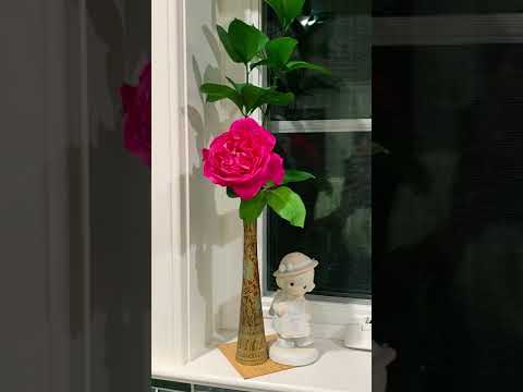 Floral arrangements 1 #flowers #floralarrangements #roses #rose #davidaustinroses #illayaraja