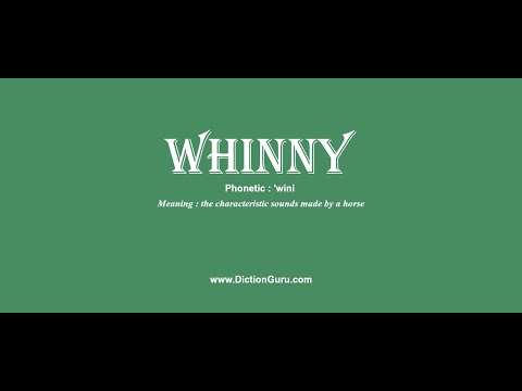 whinny: How to pronounce whinny with Phonetic and Examples