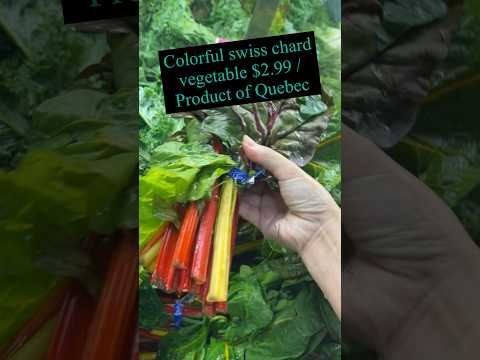 Colorful swiss chard #vegetables #vegan #shorts #vegetablegarden