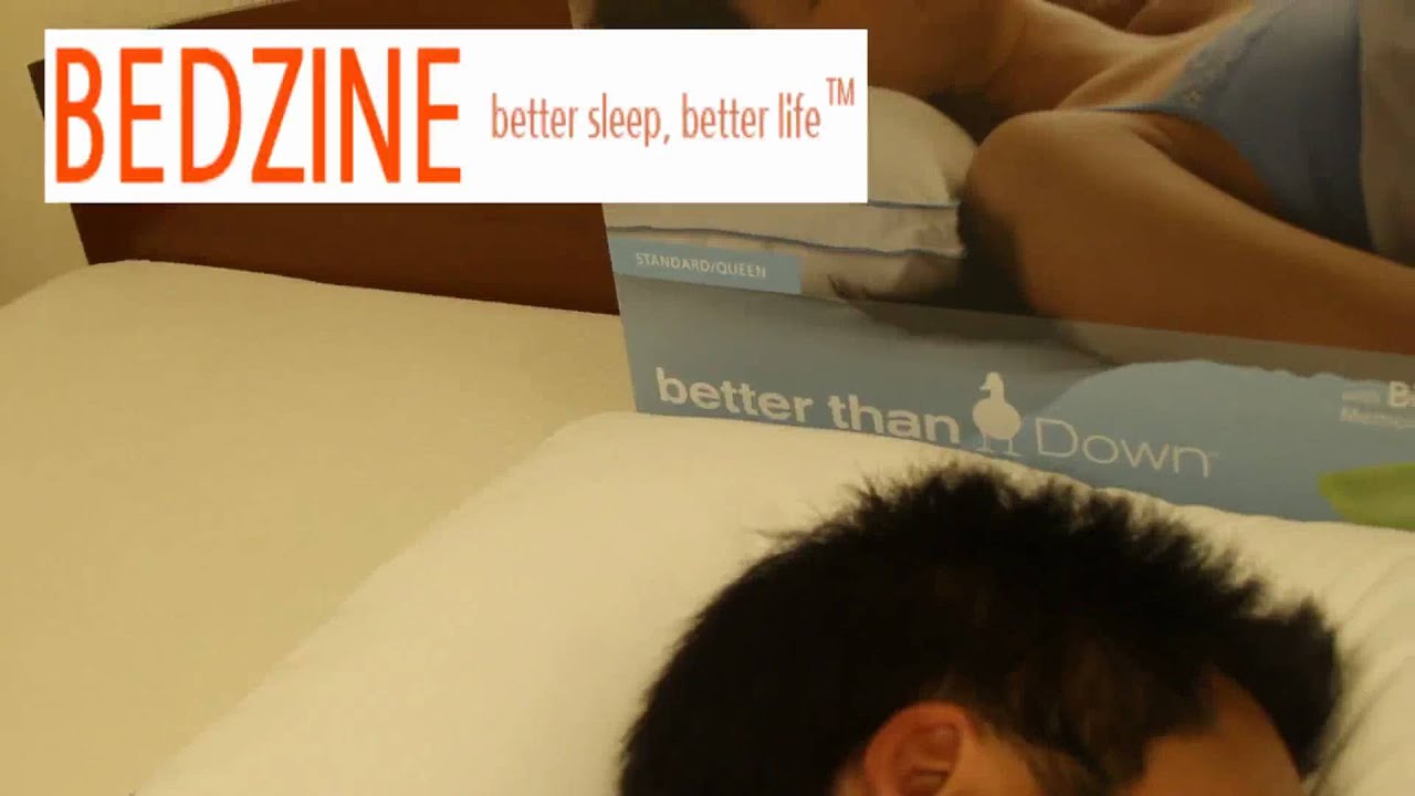 Brookstone BioSense Memory Foam Down Neck Pillow!