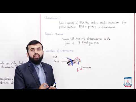 Class 10 - Biology - Chapter 15 - Lecture 01Genetics, inheritence, chromosomes - Allied Schools