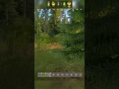 What Pro DayZ Movement Looks Like