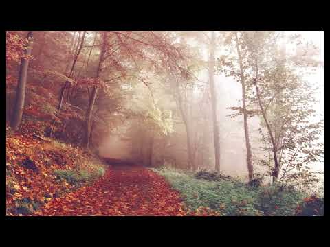 Fantasiereise Verzauberter Herbstwald, Phantasiereise zum Einschlafen, geführte Meditation