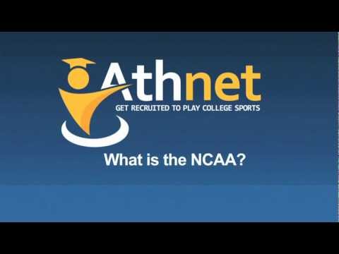 What is the NCAA?