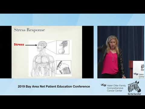 Stress and Cancer: From Science to Personal Perspective