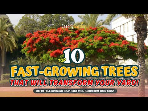 TOP 10 FAST-GROWING TREES That Will TRANSFORM Your Yard!π±ππ³ // Gardening Ideas