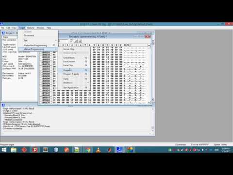 ERROR: PC of target system has unexpected value after calculating CRC