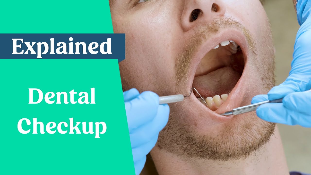 Dental Checkup Appointment Demonstrated & Explained