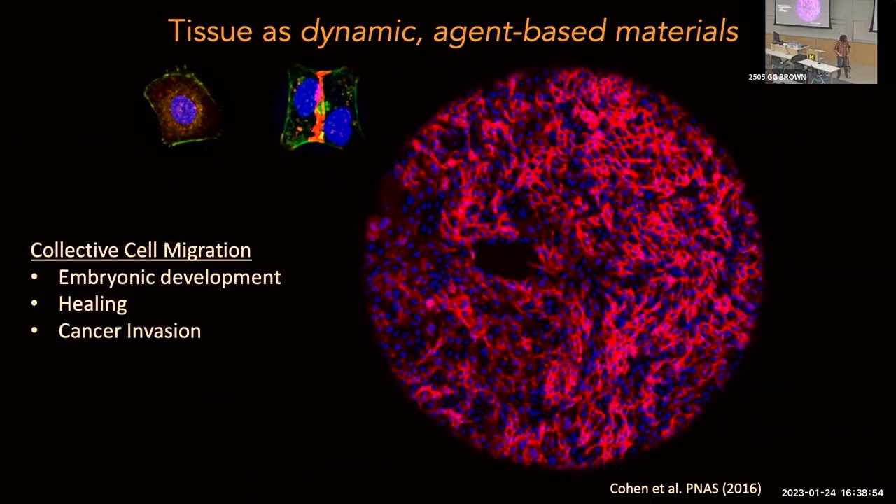 ME Seminar Series WN 2023: Daniel Cohen