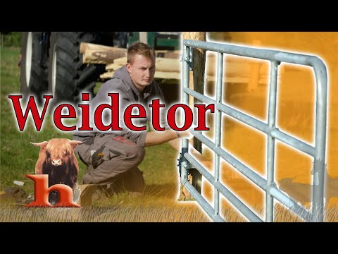 Montage Weidetor - Highland Stall & Weide