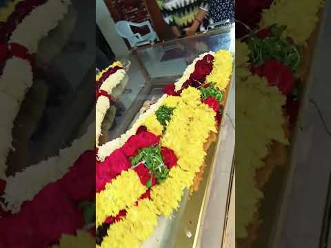 Senior actor chandra mohan Passed away|chandramohan house.....