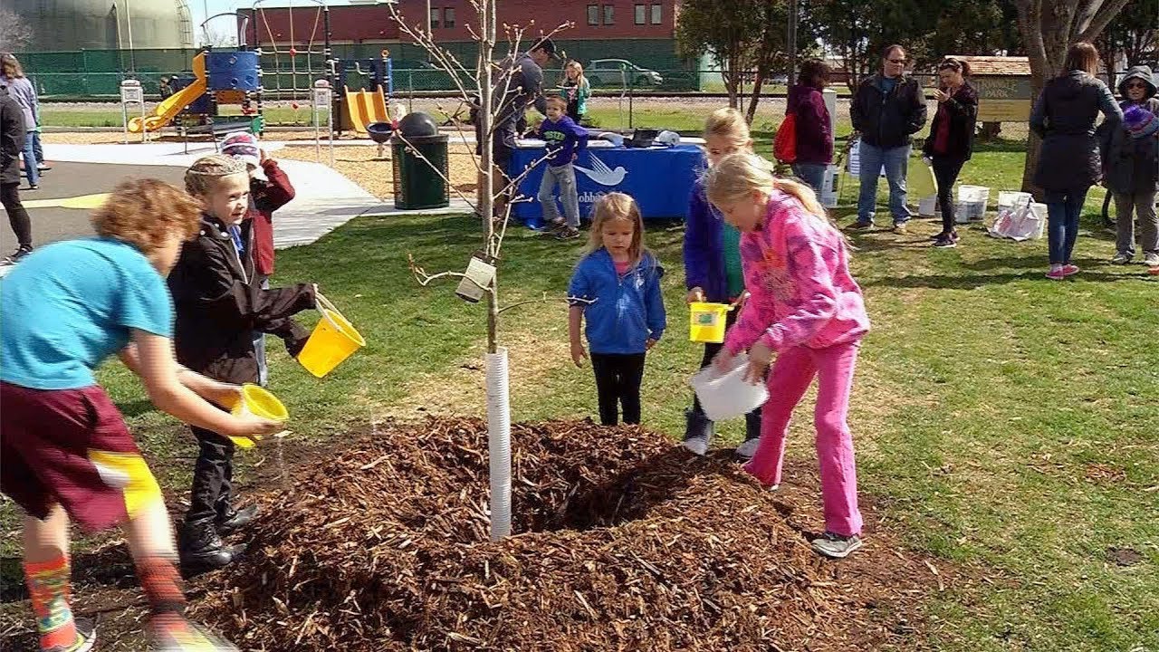 Celebrate Arbor Day in Robbinsdale