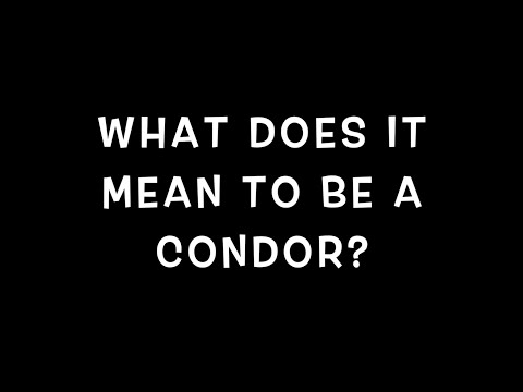 What Does It Mean To Be A Condor?