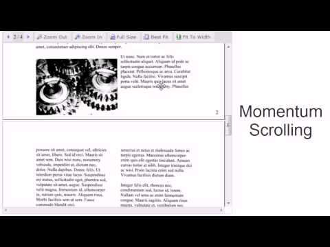 Using the DotImage Web Document Viewer