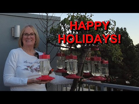 Happy Holidays from Hummingbird Spot