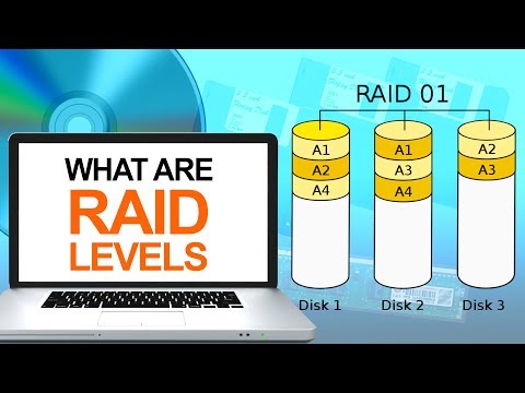 What are the RAID Levels | Computer & Networking Basics for Beginners | Computer Technology Course