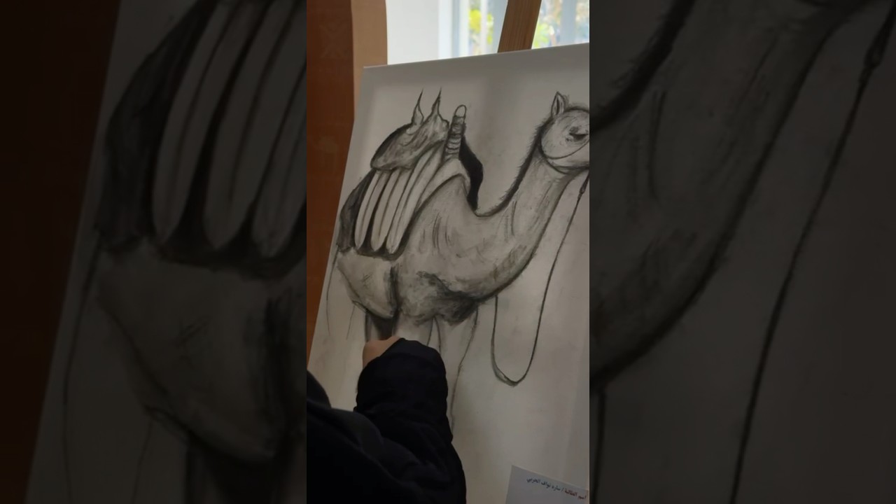 Stars ⭐️ center work at the ministry of education #hpsd #event #sshp #explorehp #shhs #cshp #hpceleb