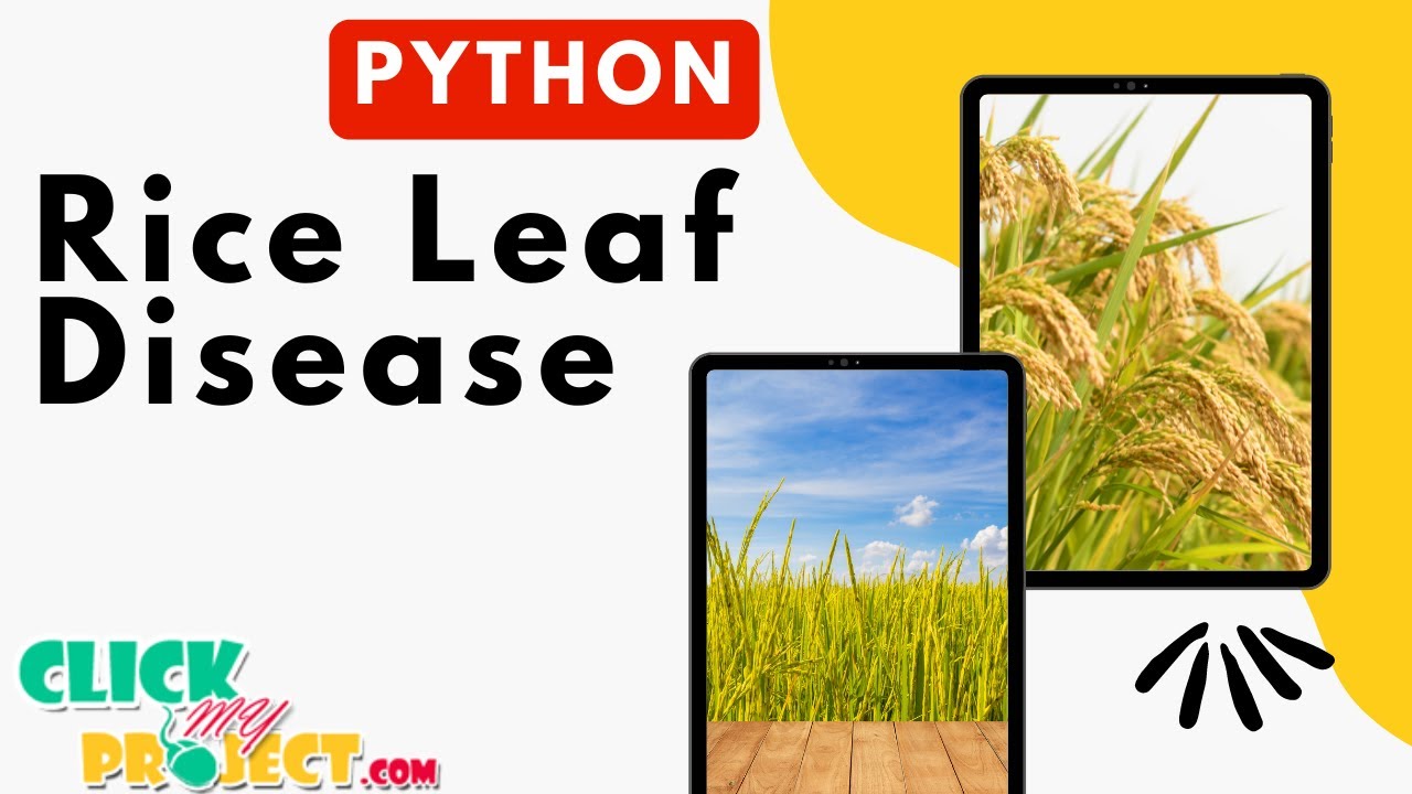 Python Image Processing - High-Quality Rice Leaf Disease Image Data Augmentation - ClickMyProject